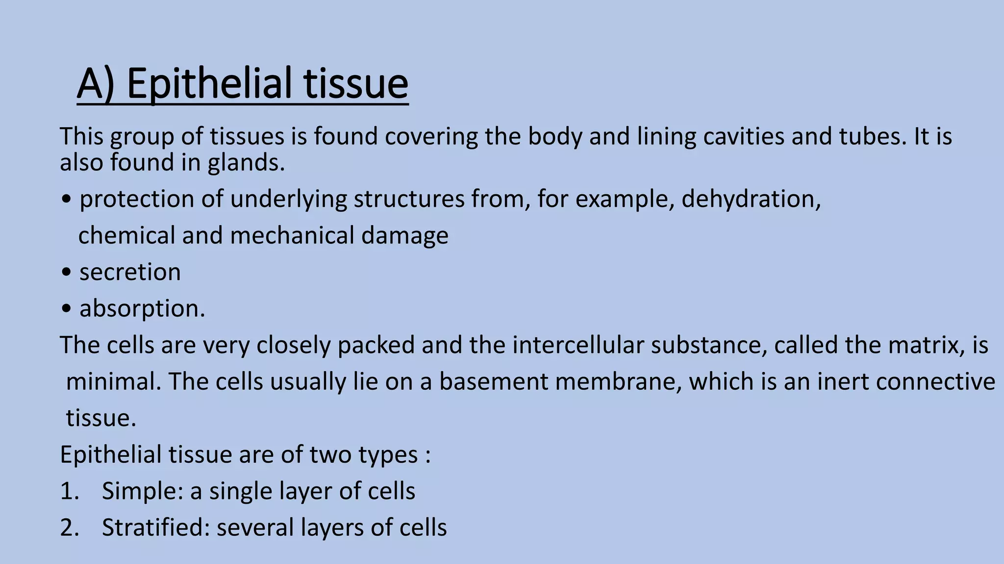 Epithelial Tissue | PPTX | Skin and Dermatology | Diseases and Conditions