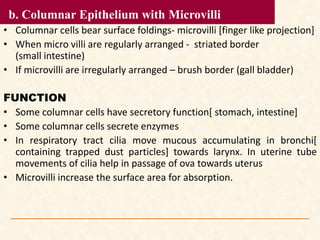 Epithelia tissue.pptx