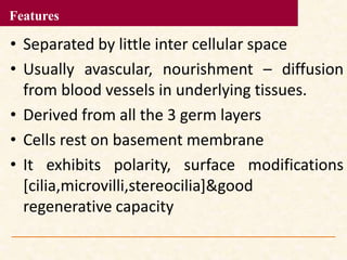 Epithelia tissue.pptx