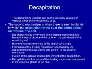 EPITHELIA TISSUES.ppt