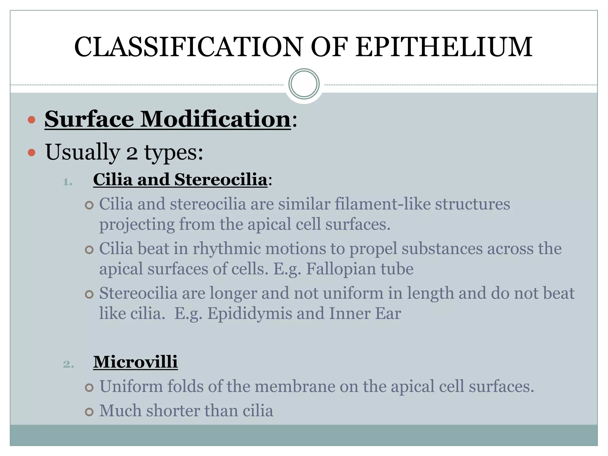 epithelia Tissues.pptx