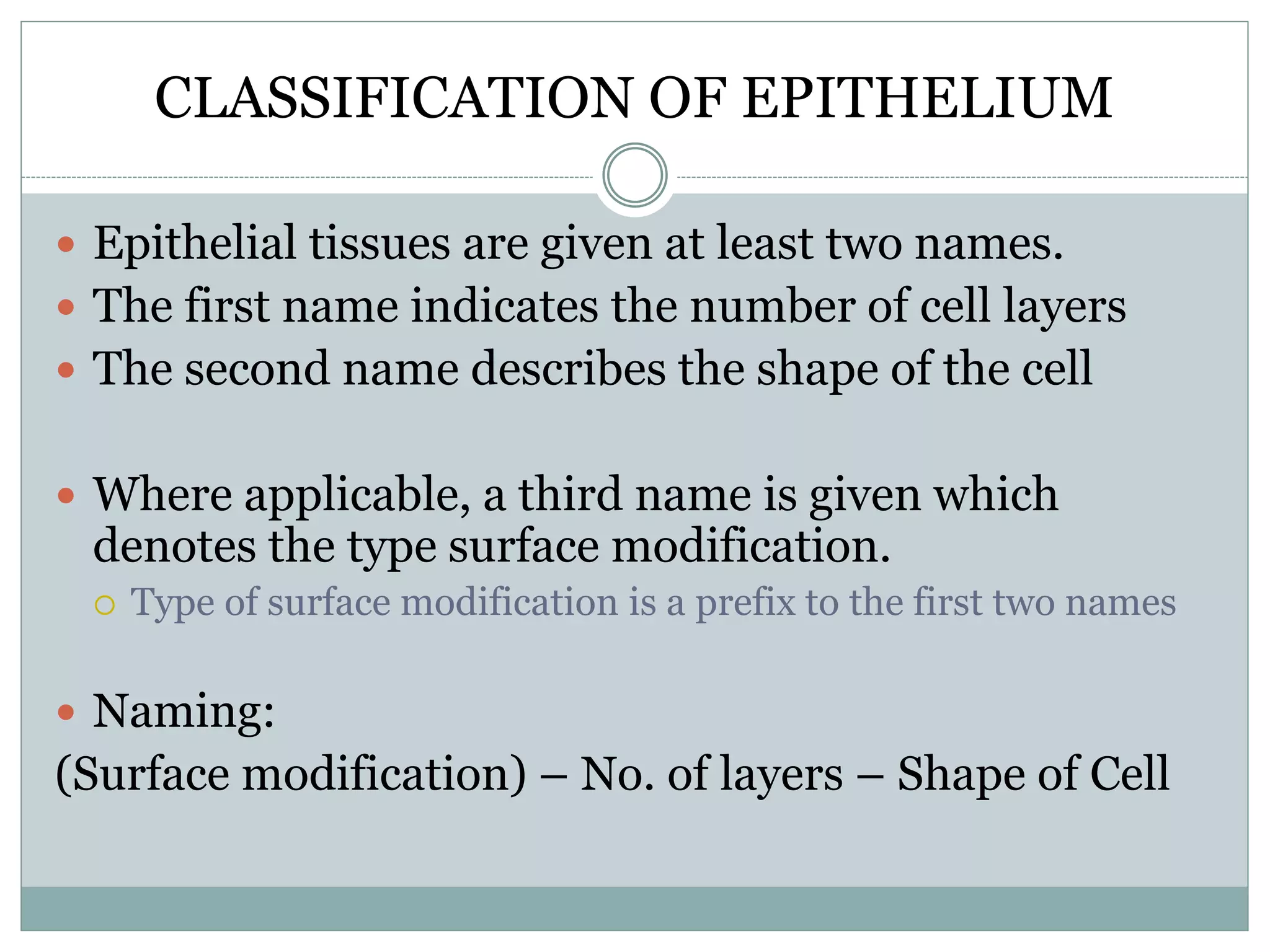 epithelia Tissues.pptx