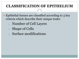 epithelia Tissues.pptx