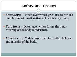 epithelia Tissues.pptx