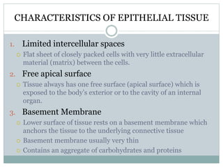epithelia Tissues.pptx