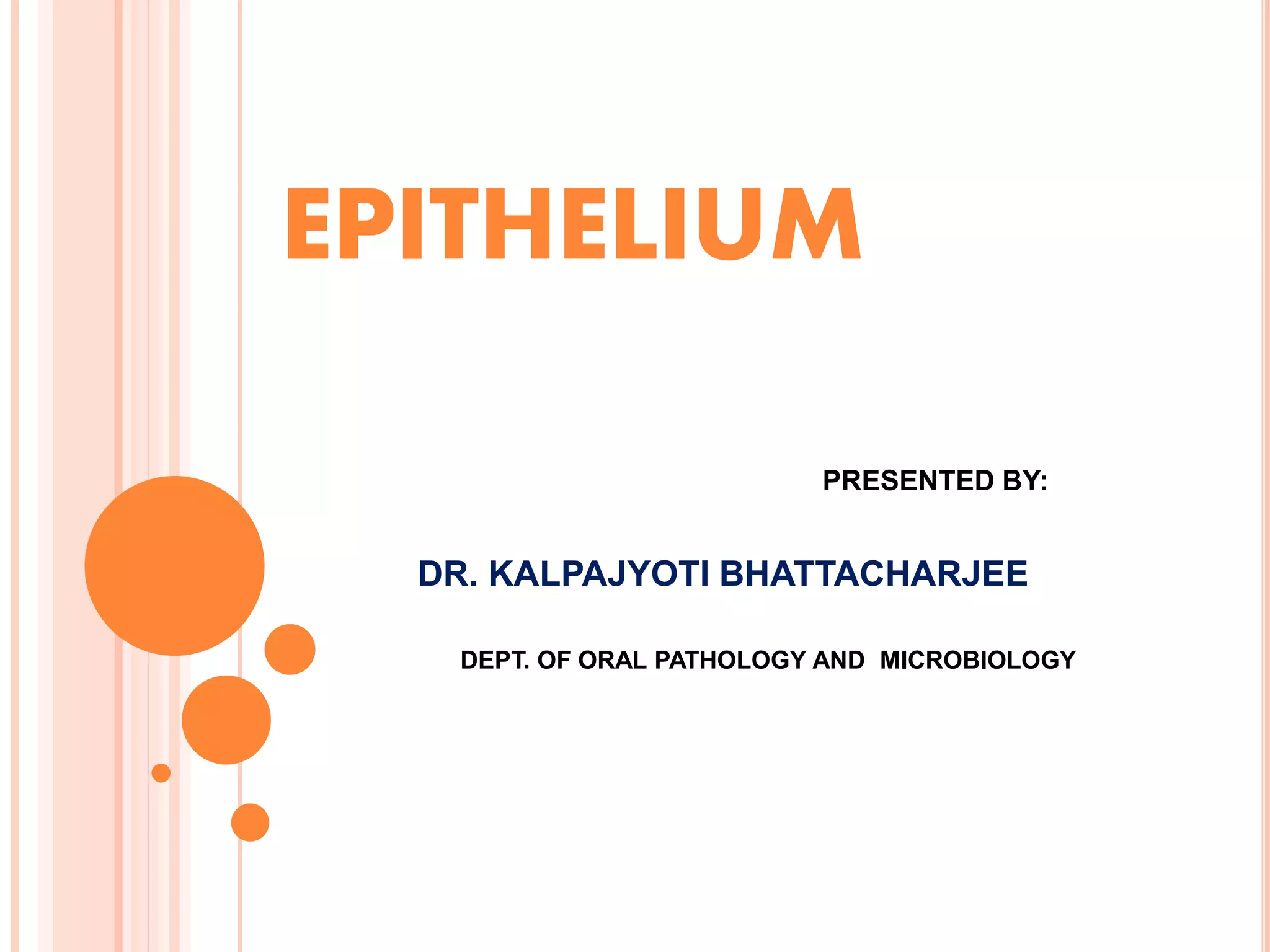 Epithelium | PPTX