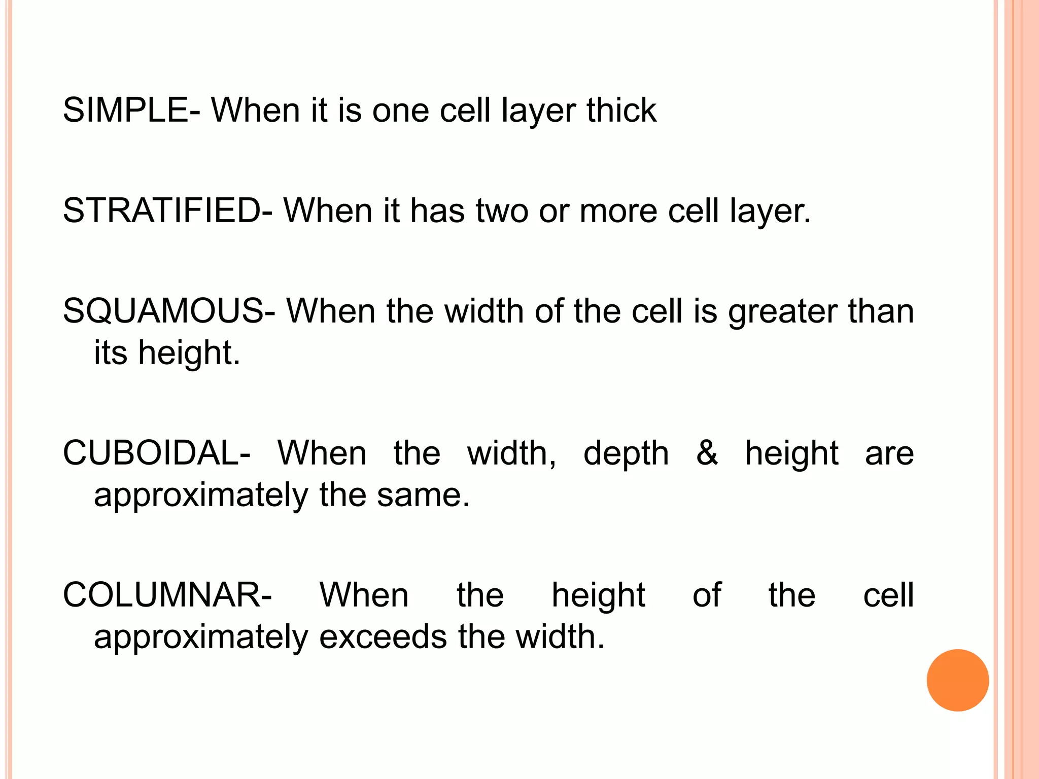 Epithelium | PPTX