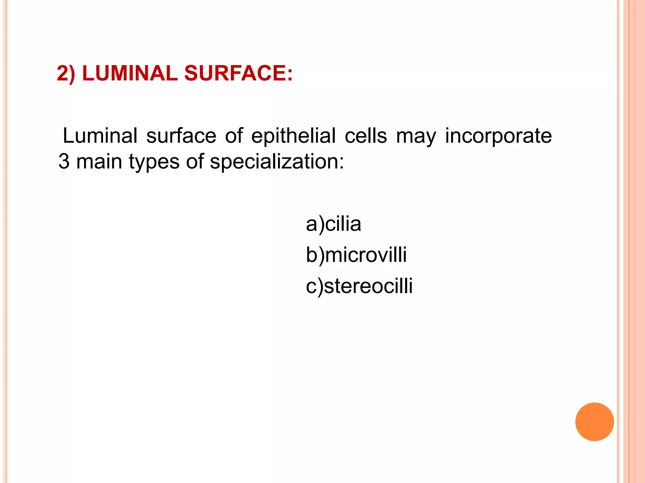 Epithelium | PPTX