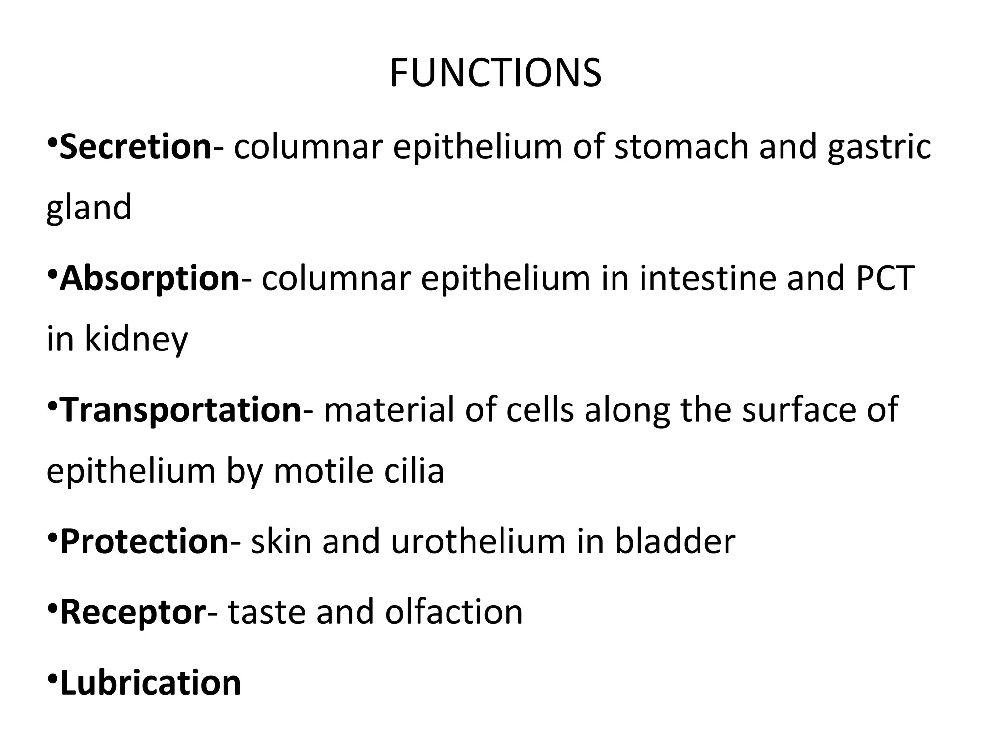 Epithelium | PPT