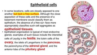 Epithelium.pptx
