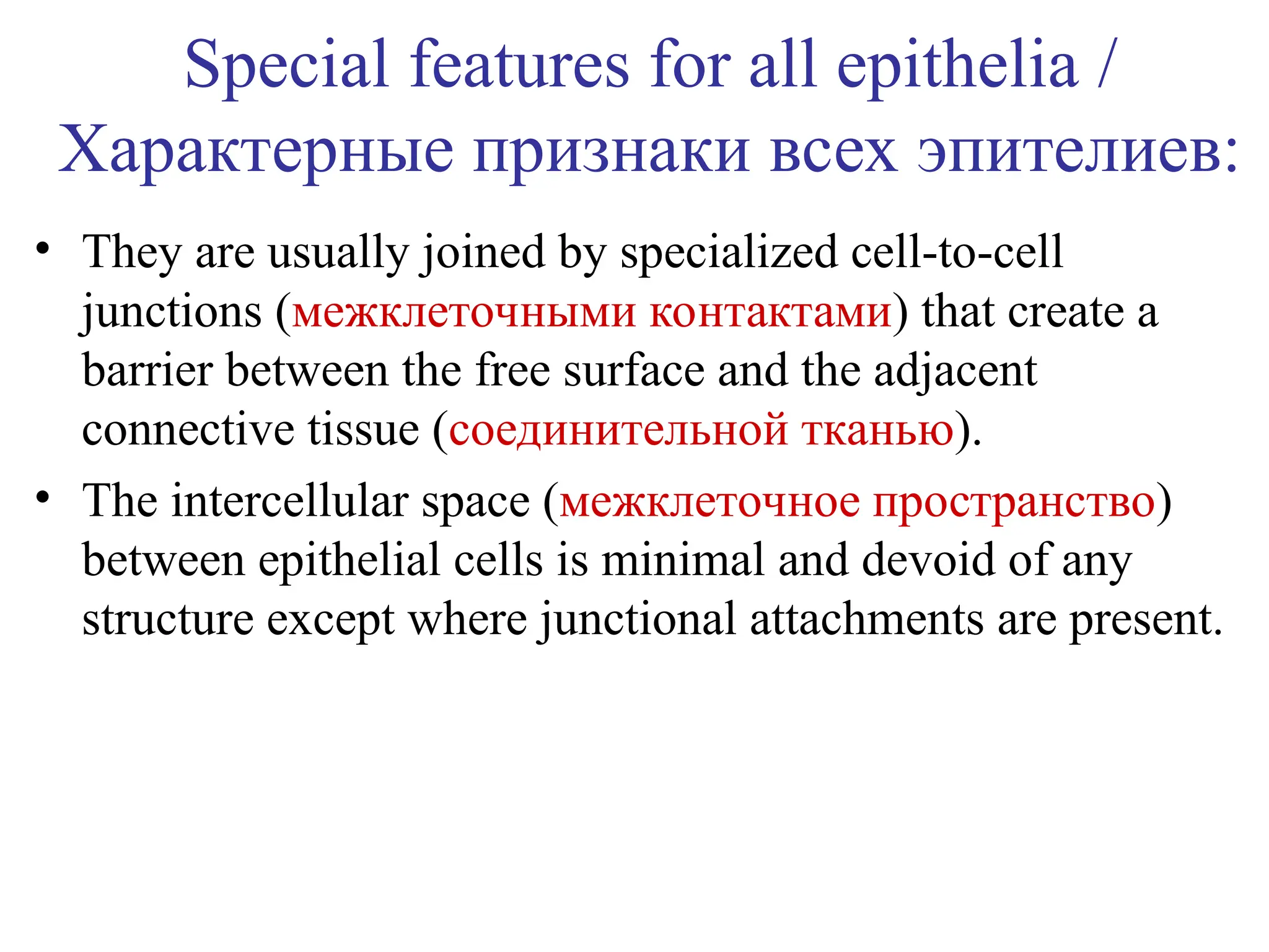 Epithelium Histology Power Point Presentations Ppt