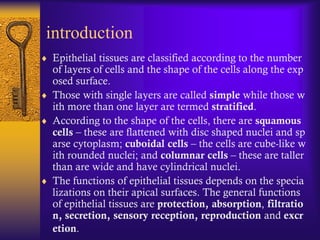Anatomy epithelium-and-locations2 nursing .pdf