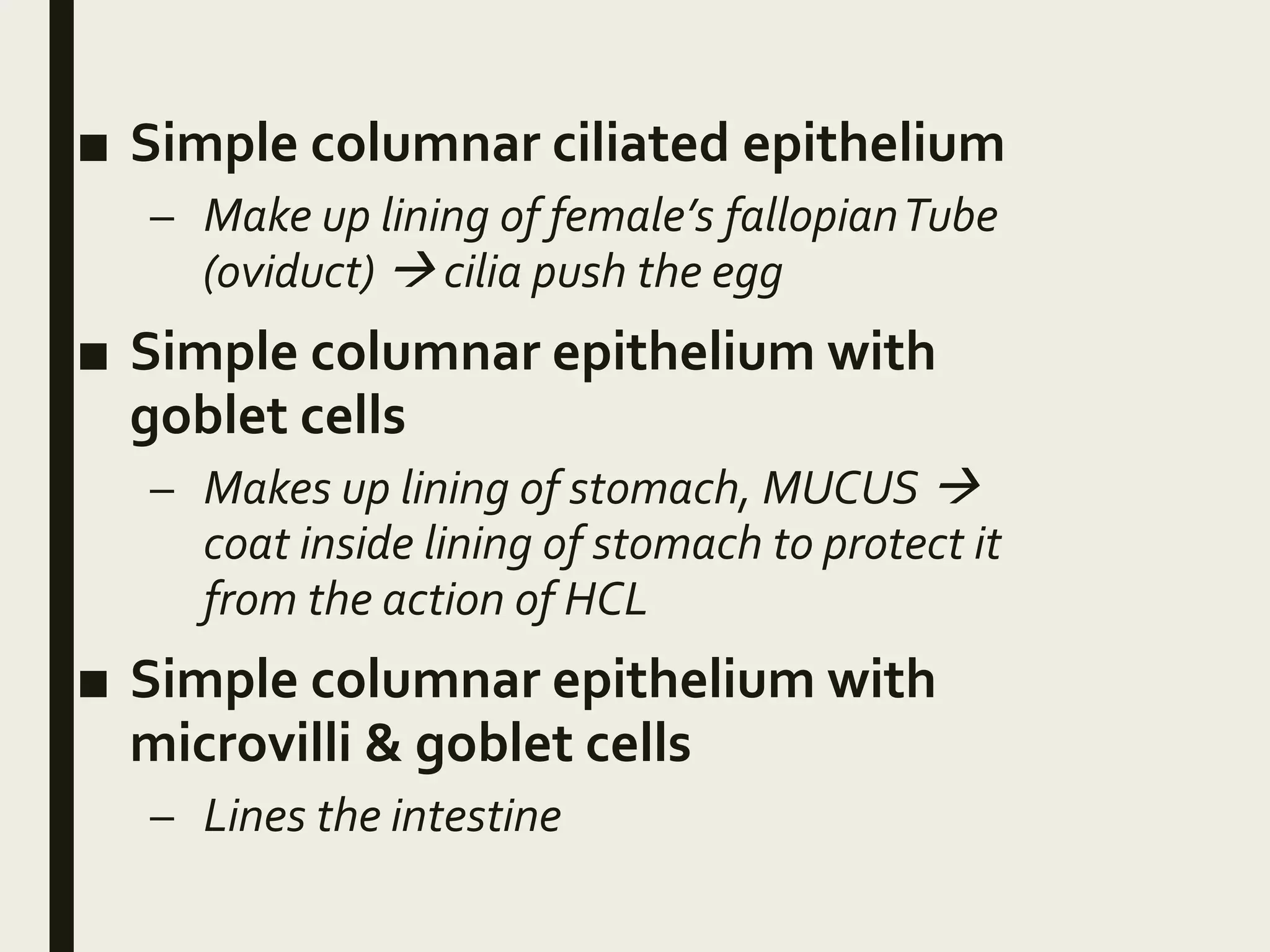 Epithelium[1] | PPTX