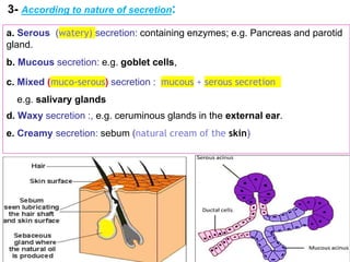 epithelium +2023-2024 epithelium 2024..ppt