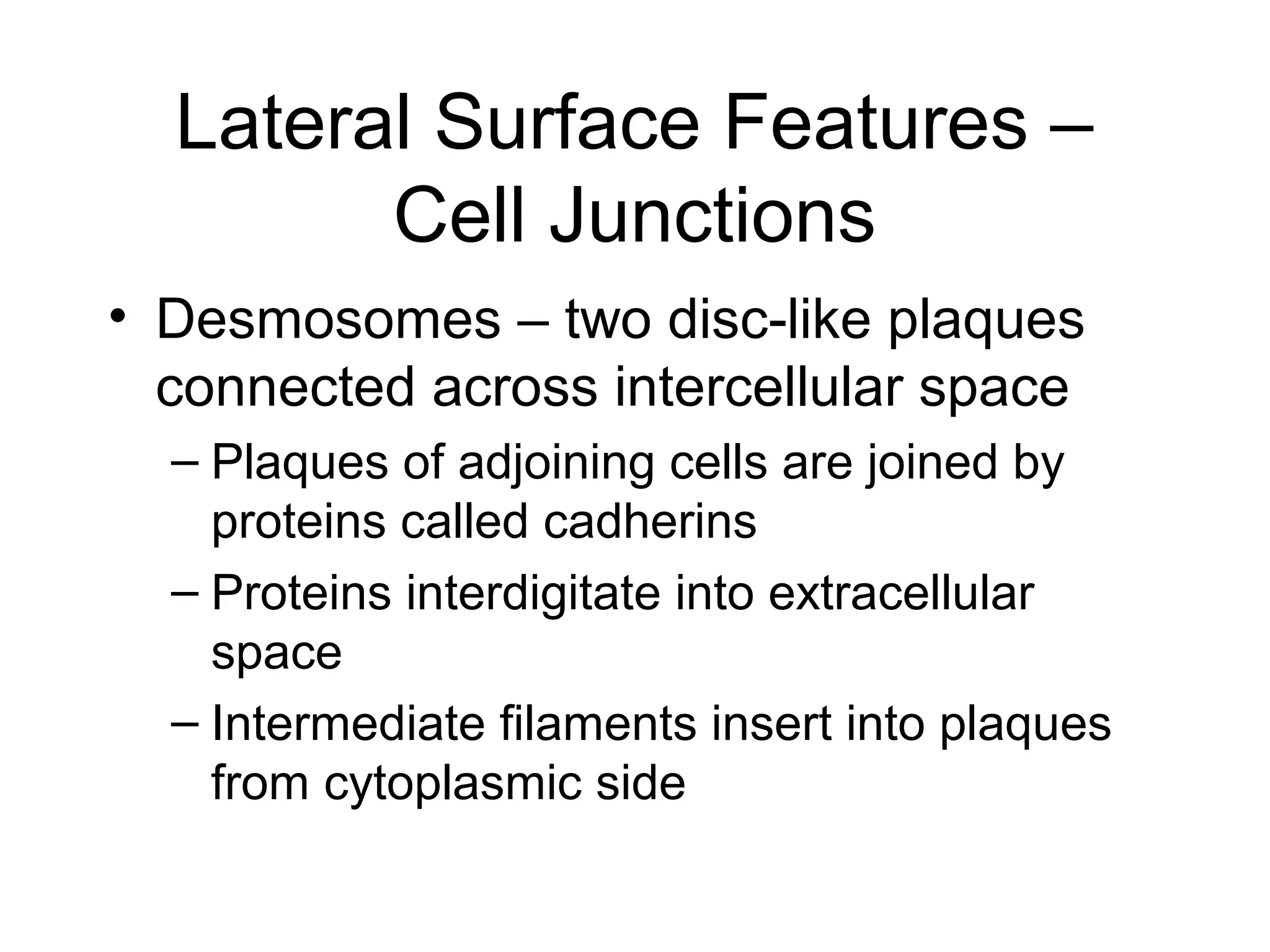 Epithelium, cells,tissues & histology | PPT
