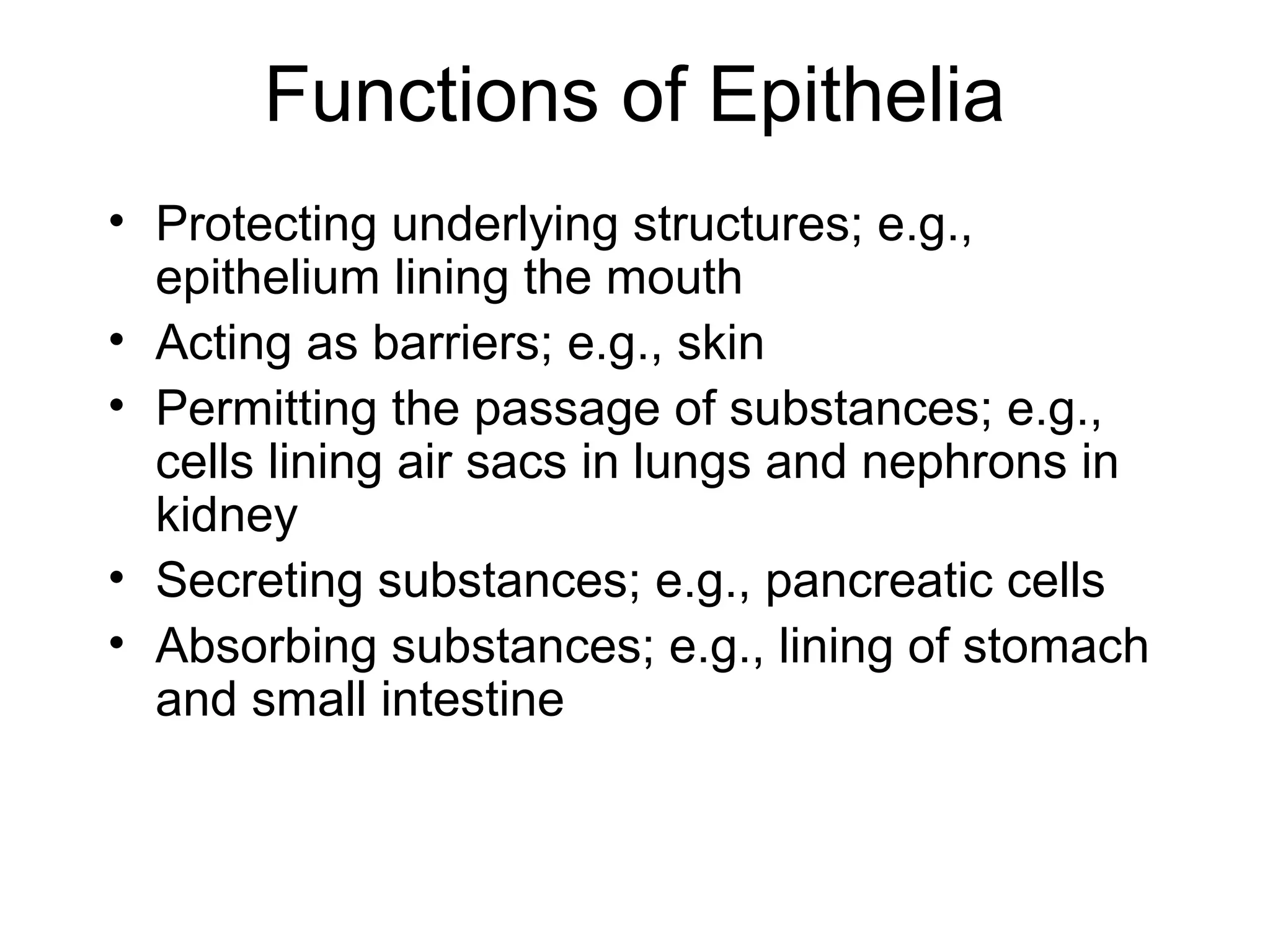 Epithelium, cells,tissues & histology | PPT