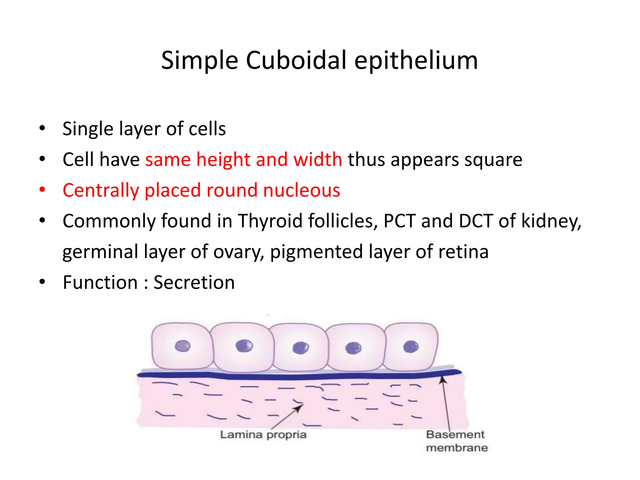 Epithelium final-1.pptx
