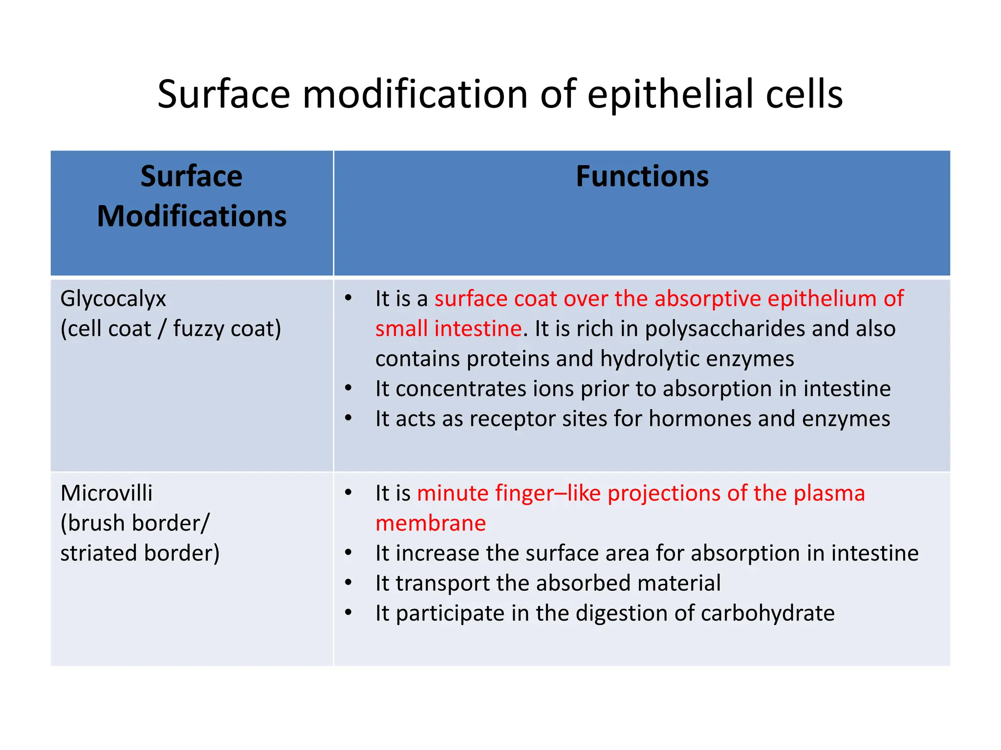 Epithelium final-1.pptx