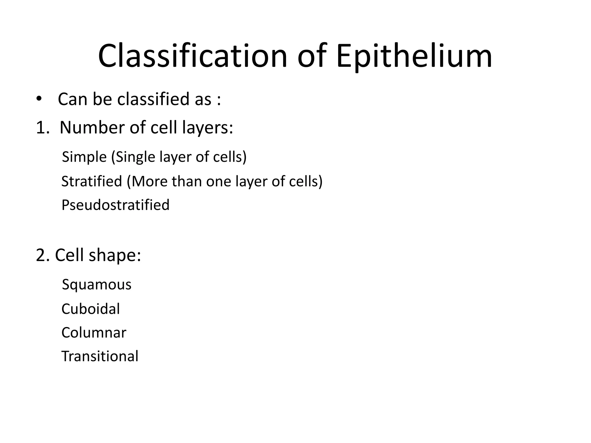 Epithelium Final 1 Pptx