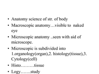 epitheliumhistology-1812112144183134.ppt | Lung and Respiratory Health ...