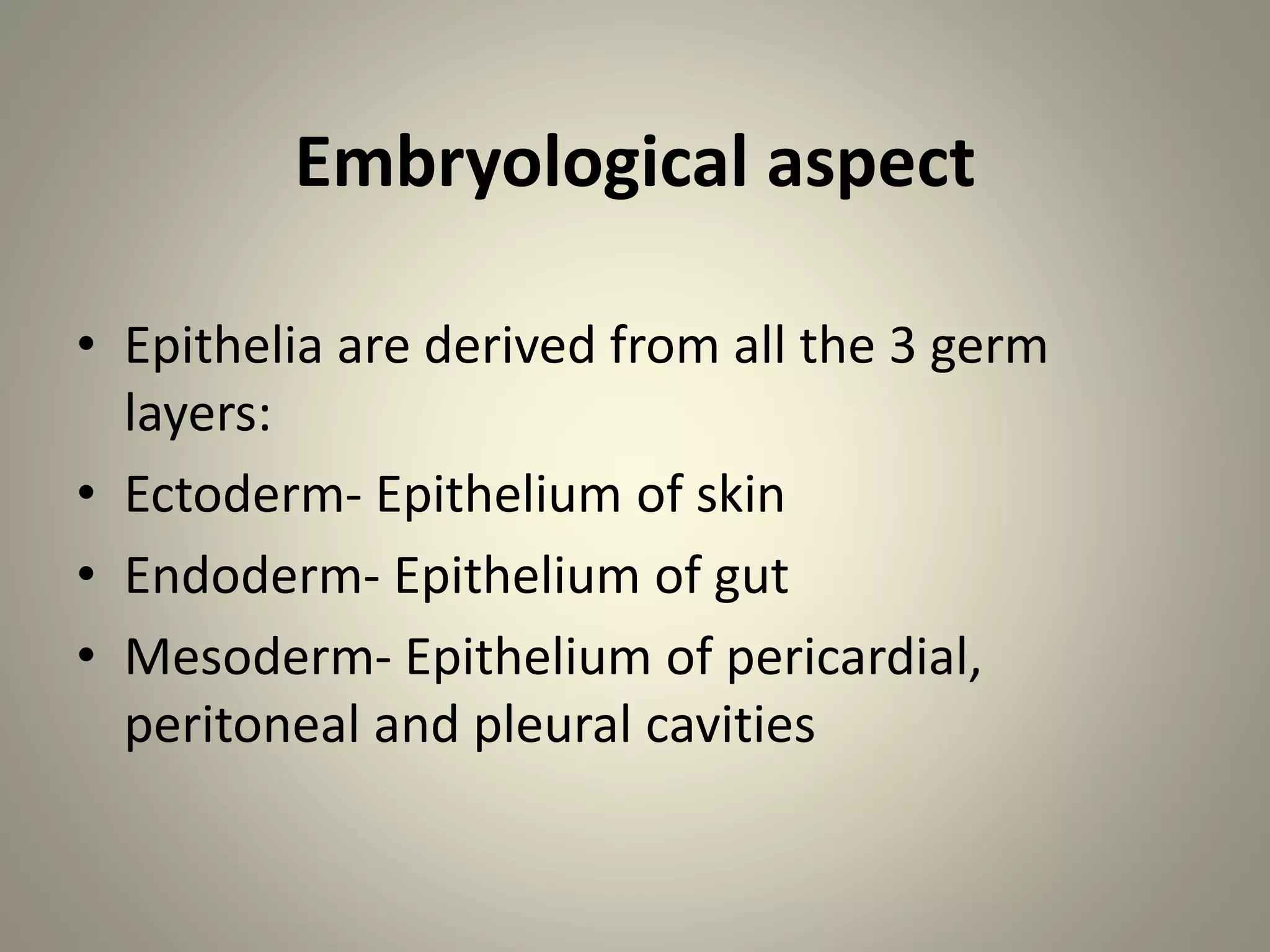 epithelium lec 1.pptx
