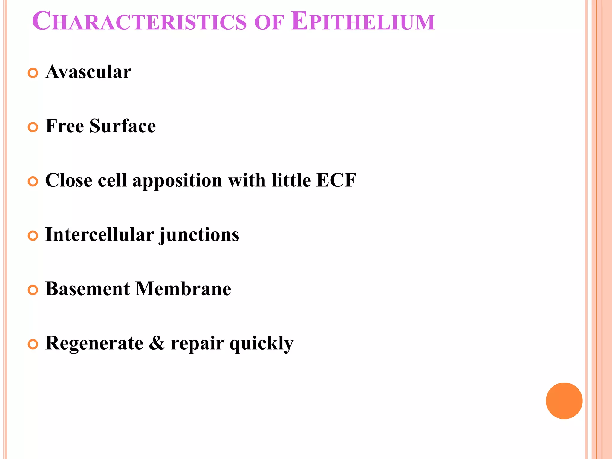 Epithelium , Dr naveen reddy | PPTX
