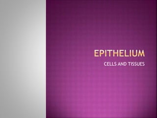 EPITHELIUM | PPT