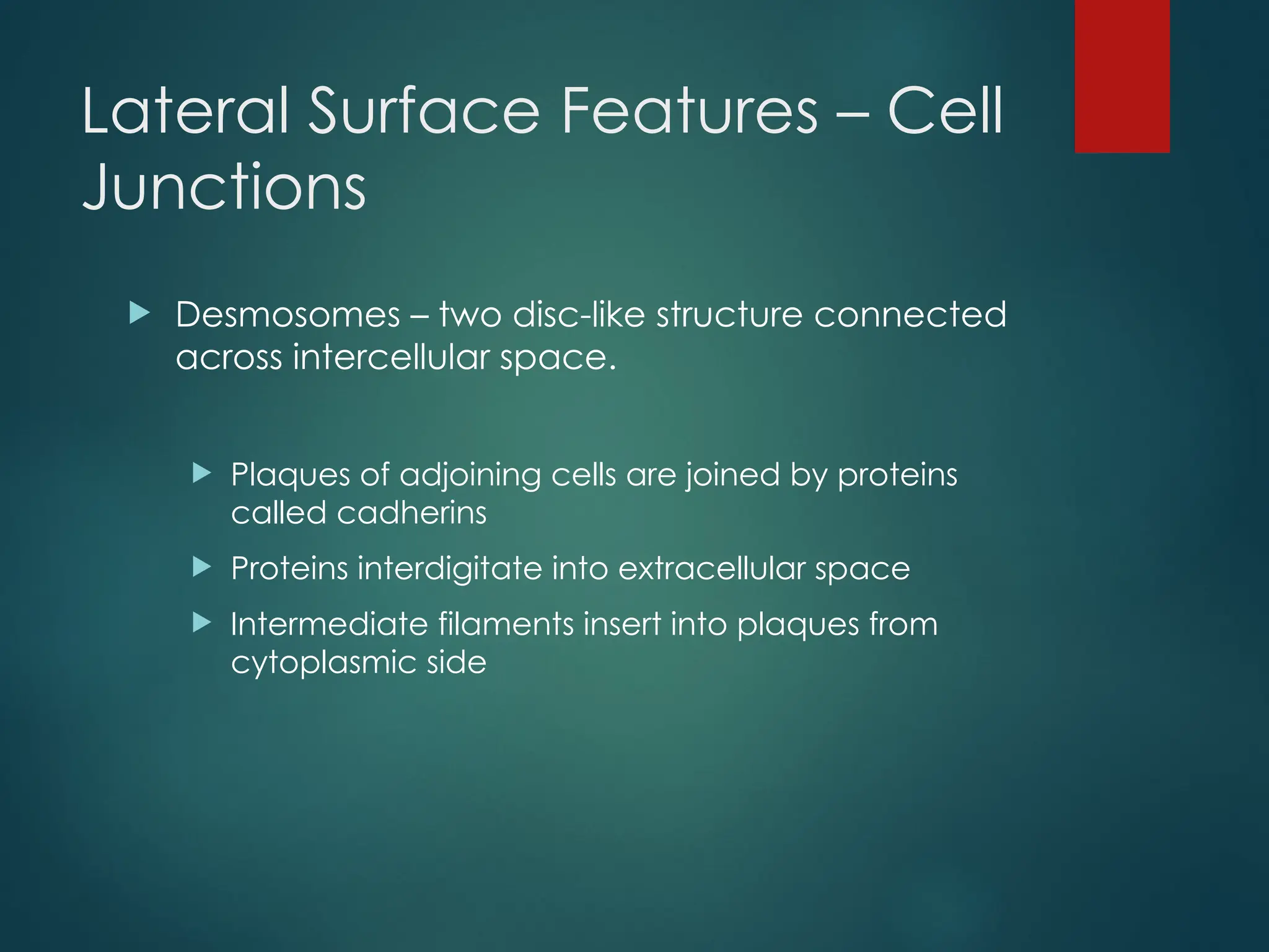 Epithelium, naming classification and junctions of epithelial cells. | PPT