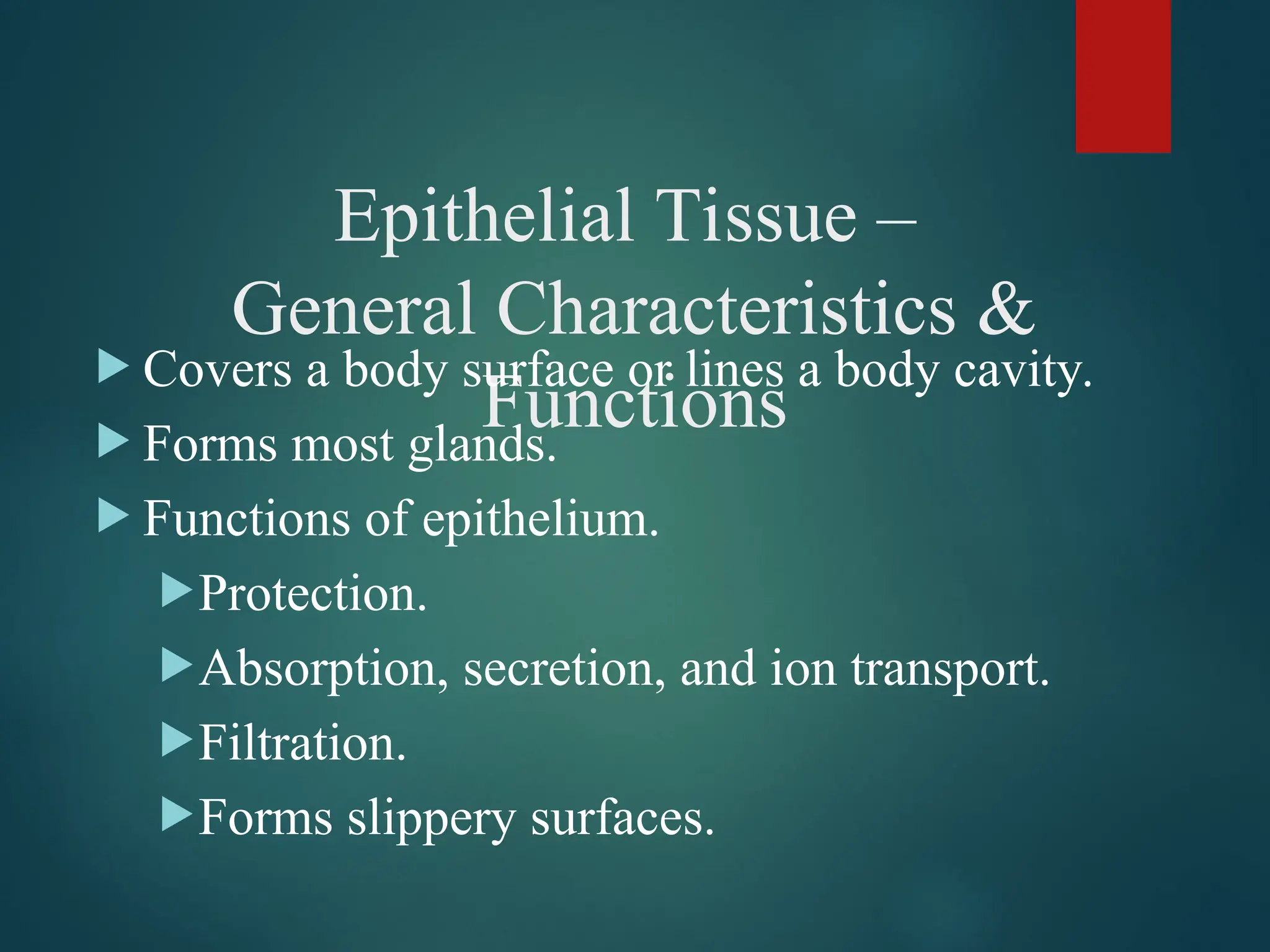 Epithelium, naming classification and junctions of epithelial cells. | PPT