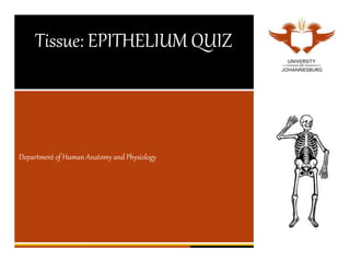 Epithelium Tut Quiz 2022 (1).pptx