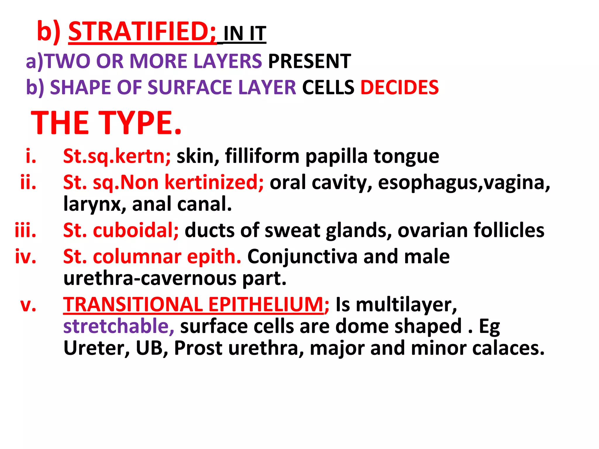 Epithilial Tissues,HISTOLOGY,MBBS,1ST YEAR | PDF