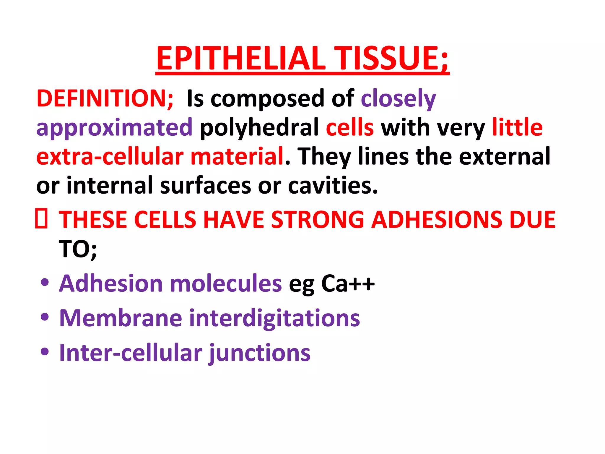 Epithilial Tissues,HISTOLOGY,MBBS,1ST YEAR | PDF