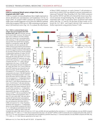 Epitope base editing CD45 in hematopoietic cells enables universal ...
