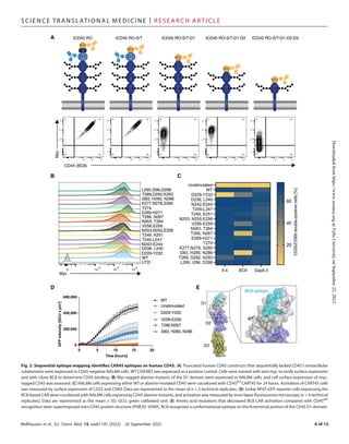 Epitope base editing CD45 in hematopoietic cells enables universal ...