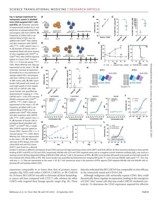 Epitope base editing CD45 in hematopoietic cells enables universal blood cancer immune therapy.pdf