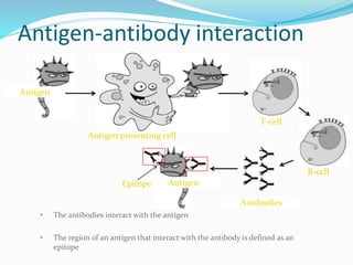 Epitope mapping through bioinformatical analysis | PPTX