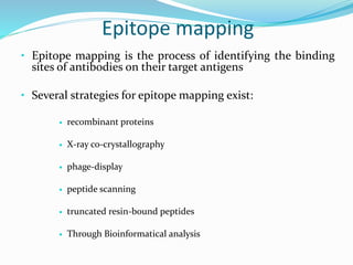 Epitope Mapping