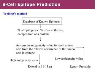 Epitope prediction and its algorithms | PPT