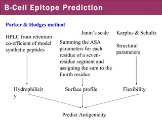 Epitope prediction and its algorithms | PPT