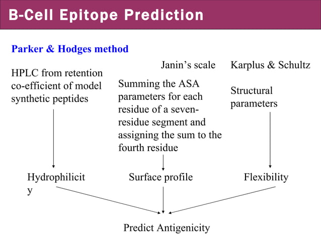 Epitope Prediction And Its Algorithms Ppt Chemistry Science