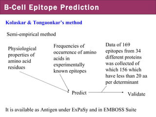 Epitope prediction and its algorithms | PPT