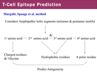 Epitope prediction and its algorithms | PPT
