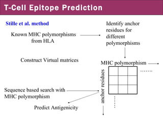 Epitope prediction and its algorithms | PPT