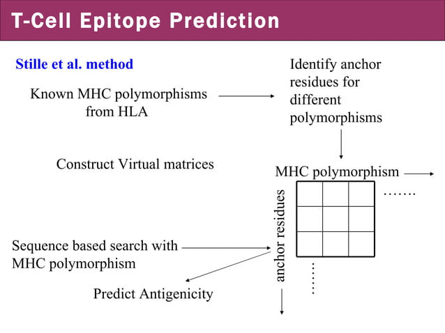 Epitope Prediction And Its Algorithms Ppt Chemistry Science