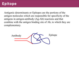 Epitope prediction and its algorithms | PPT