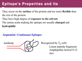 Epitope prediction and its algorithms | PPT