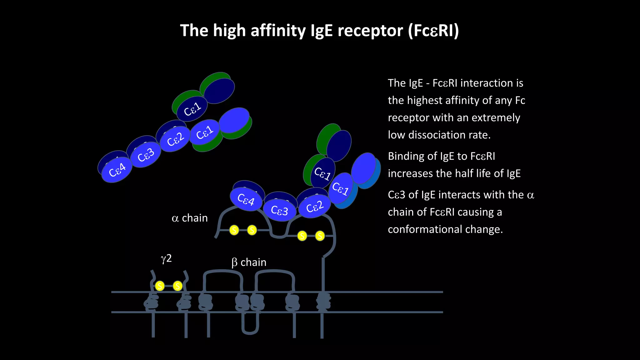 Epitopes and structure of antibodies.pptx
