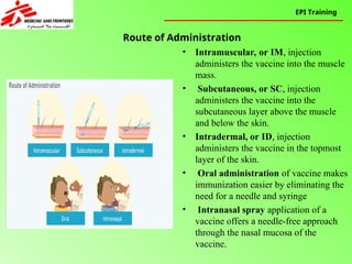 EPI Training Eng.PPT expanded program immunization | PPT
