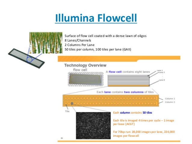 NGS data formats and analyses