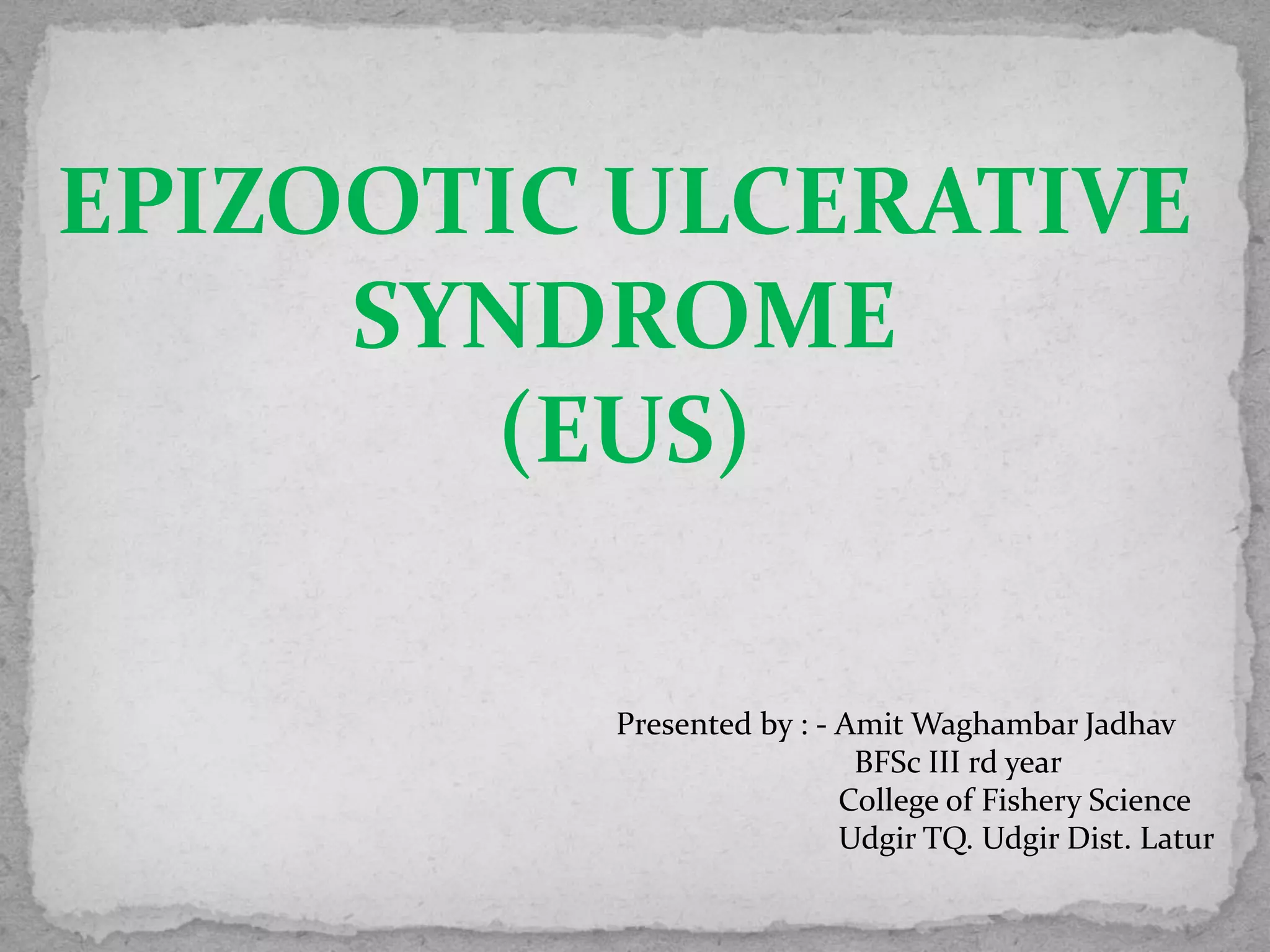 Epizootic Ulcerative Syndrome | PDF